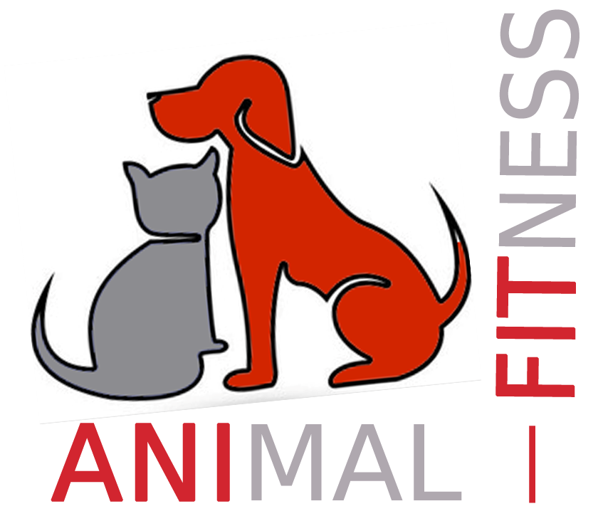 ANIMAL FITNESS | eerste en officiële AniFit partner in Nederland